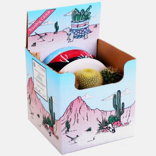 Cactus Gardens